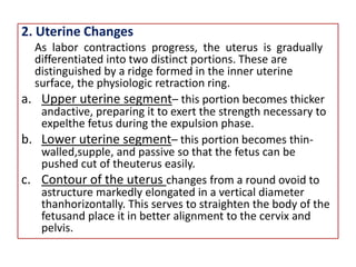 Physiology of labor | PPTX