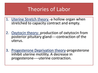 physiology of labor.pdf