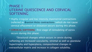 Physiology of labor | PPTX