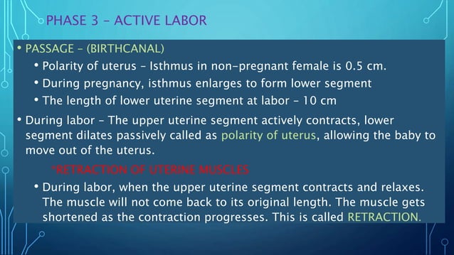 Physiology of labor | PPTX | Pregnancy | Reproductive Health