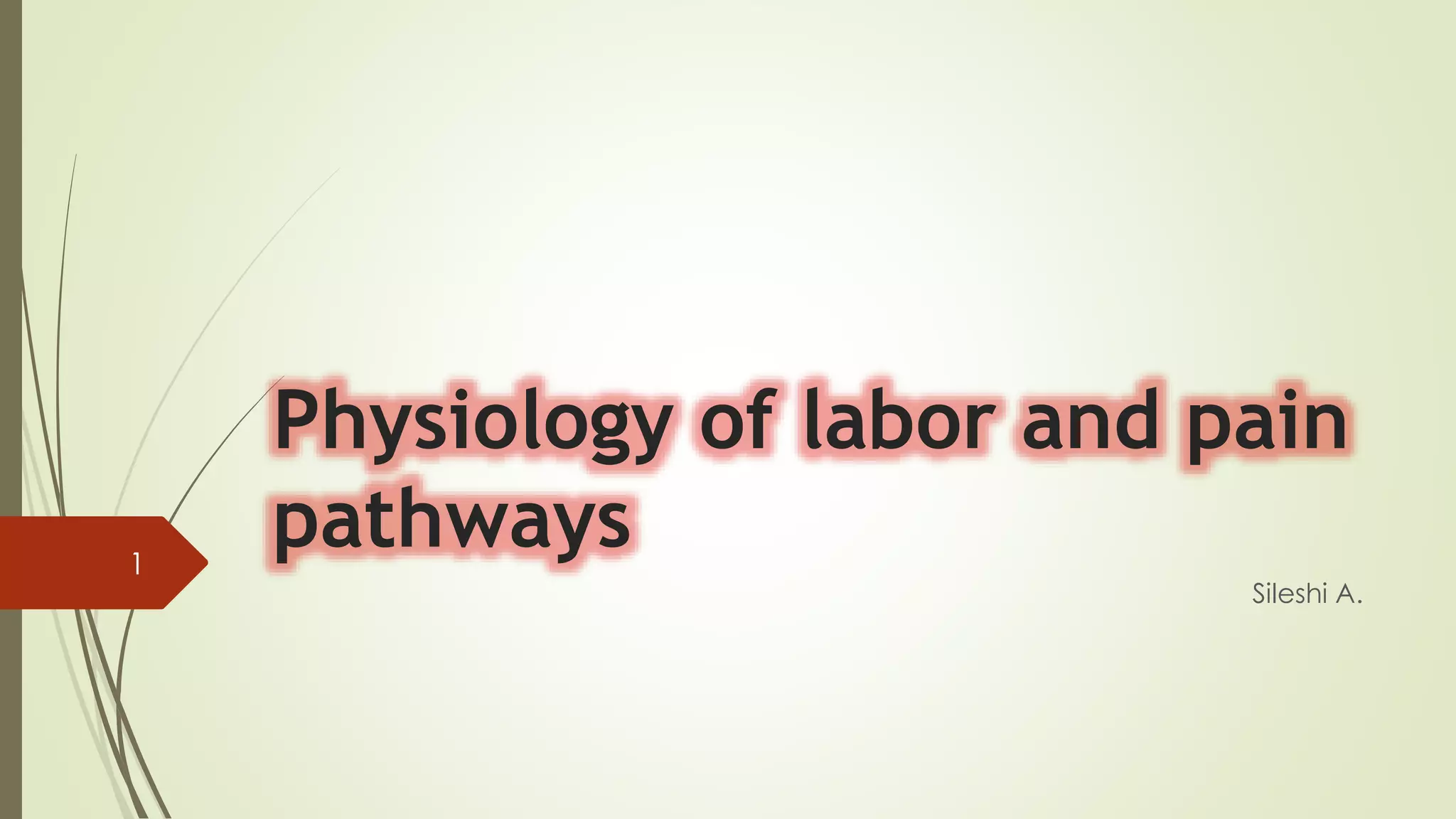 Physiology of labor and pain pathways | PPTX