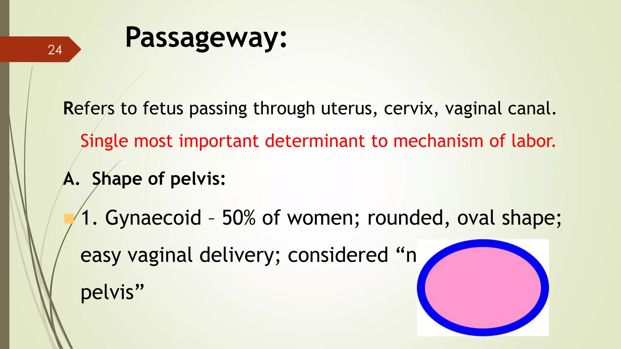 Physiology of labor and pain pathways | PPTX