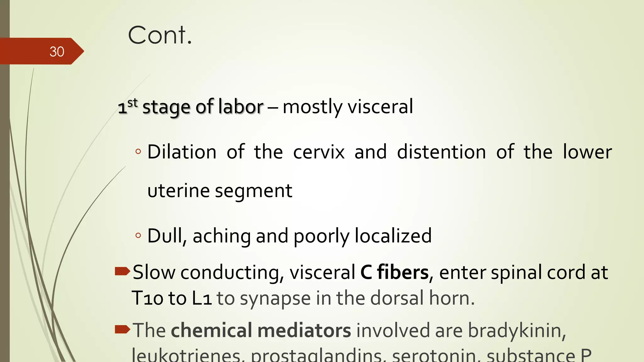Physiology of labor and pain pathways | PPTX