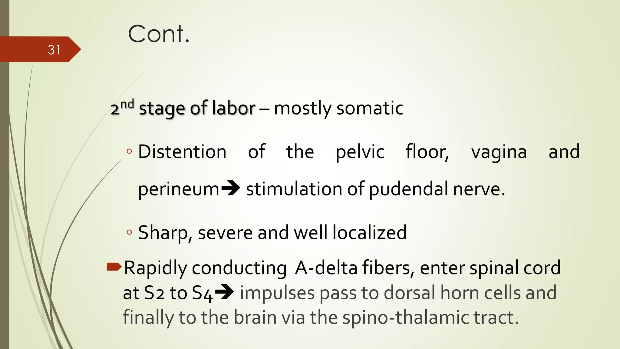 Physiology of labor and pain pathways | PPTX