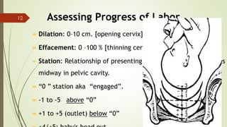 Physiology of labor and pain pathways | PPTX