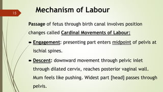 Physiology of labor and pain pathways | PPTX