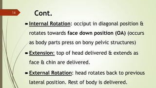Physiology of labor and pain pathways | PPTX