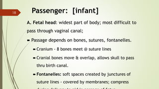 Physiology of labor and pain pathways | PPTX