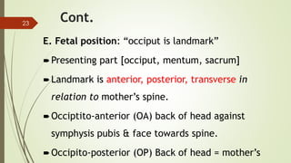 Physiology of labor and pain pathways | PPTX