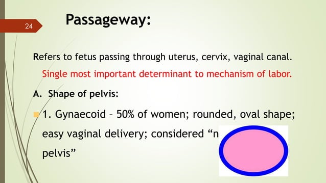 Physiology of labor and pain pathways | PPTX | Pregnancy | Reproductive ...