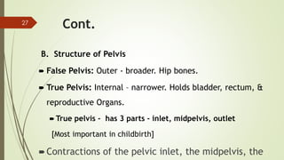 Physiology of labor and pain pathways | PPTX