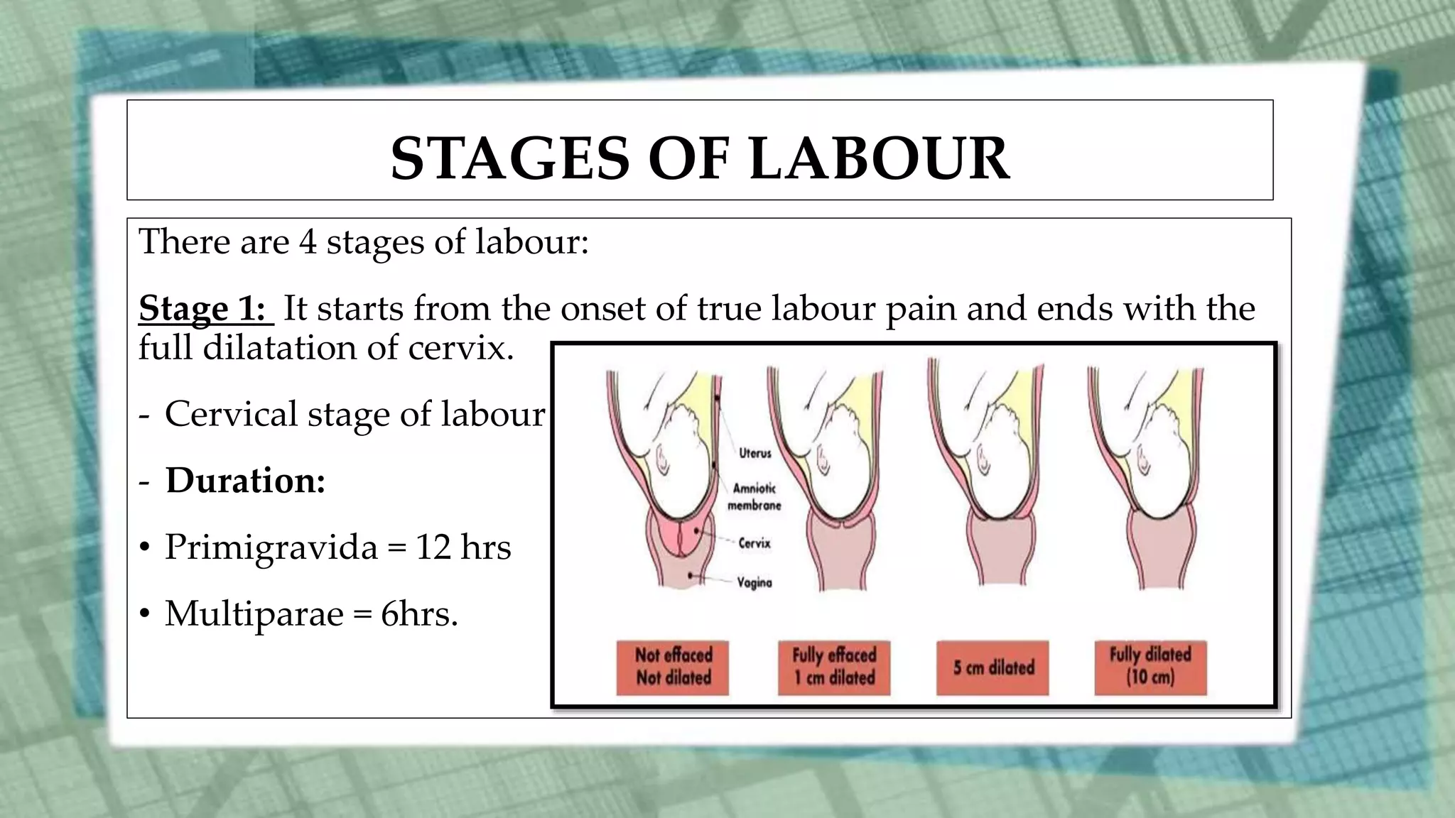 Physiology of labour | PPTX
