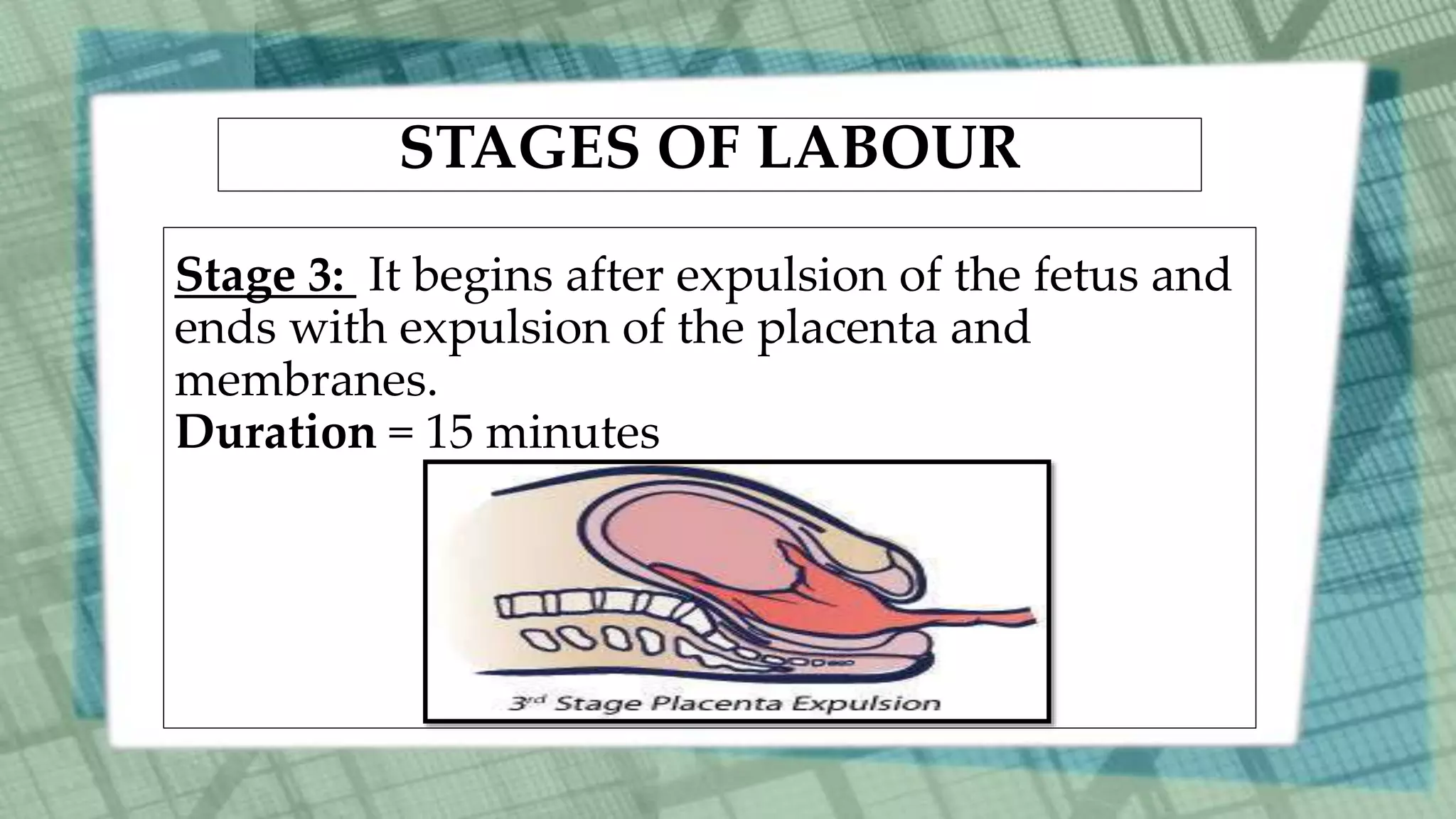 Physiology of labour | PPTX