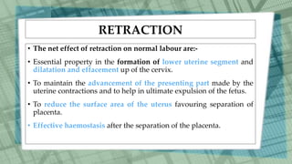 Physiology of labour | PPTX