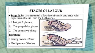 Physiology of labour | PPTX