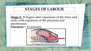 Physiology of labour | PPTX
