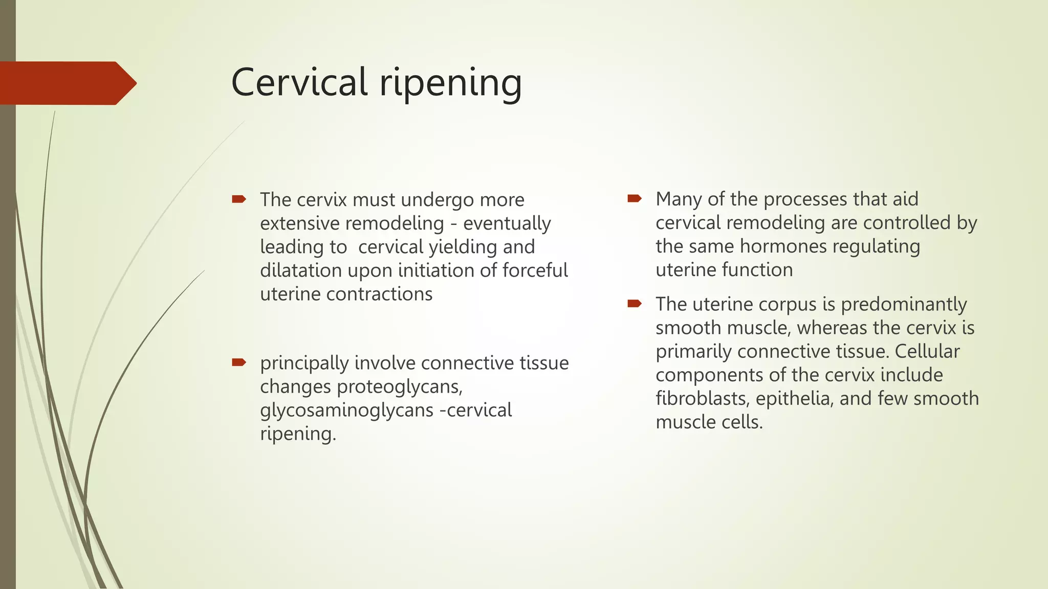 physiology of labour.pptx | Pregnancy | Reproductive Health