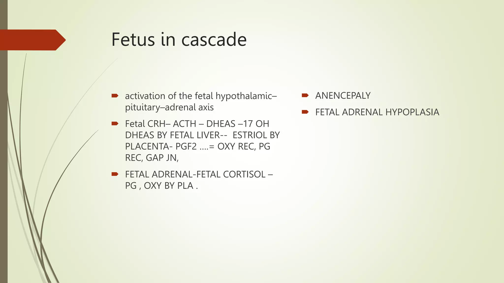 physiology of labour.pptx