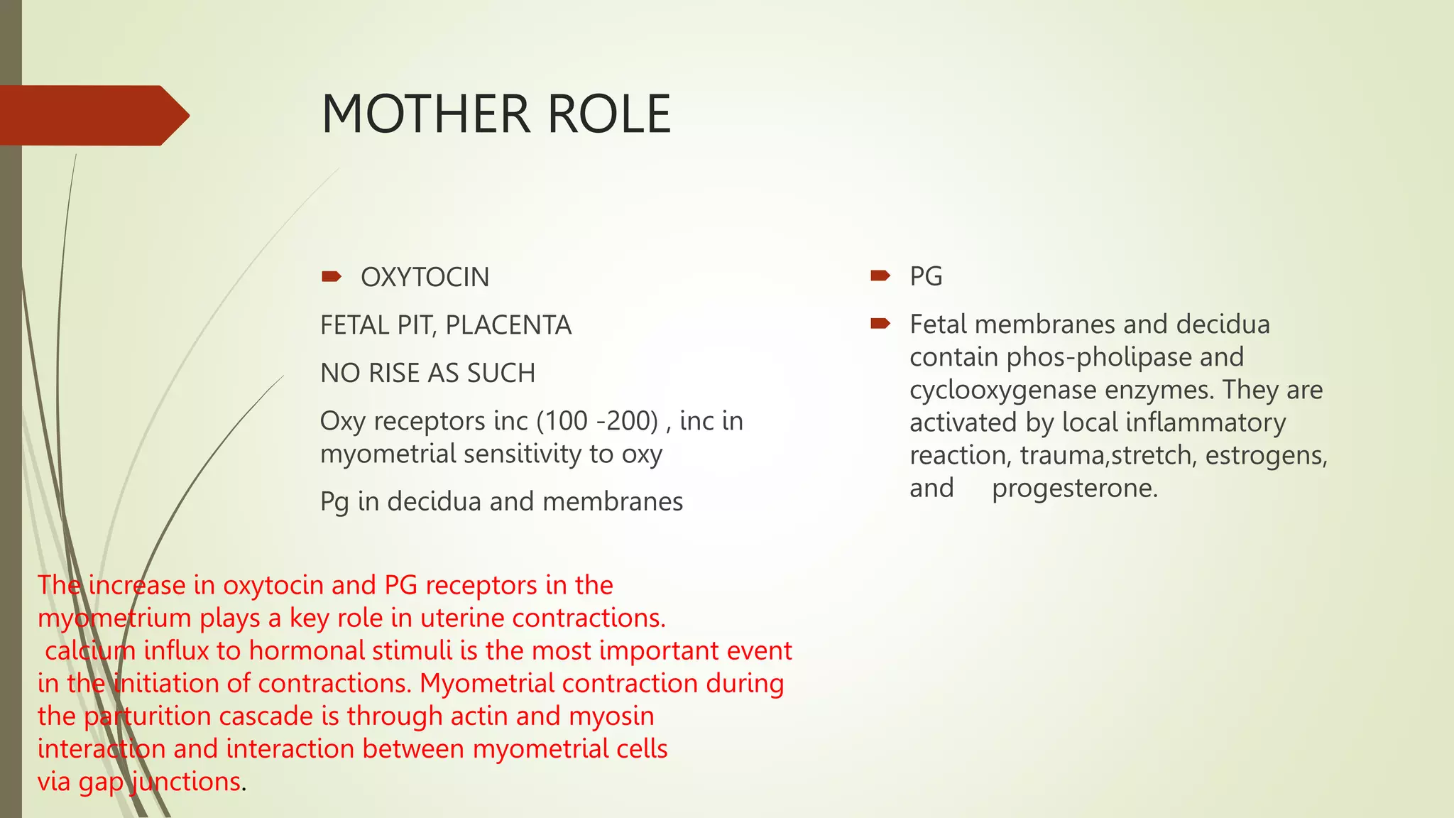 physiology of labour.pptx