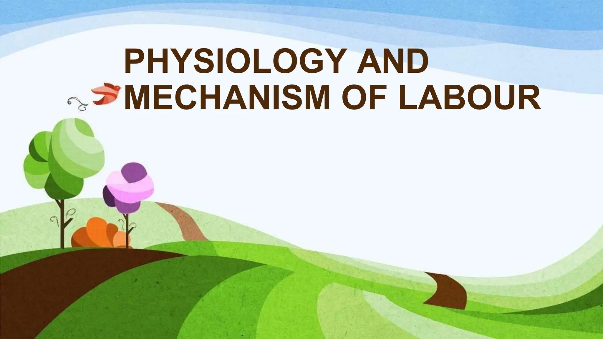PHYSIOLOGY OF LABOUR.pptx bsc nursing obg | PPTX