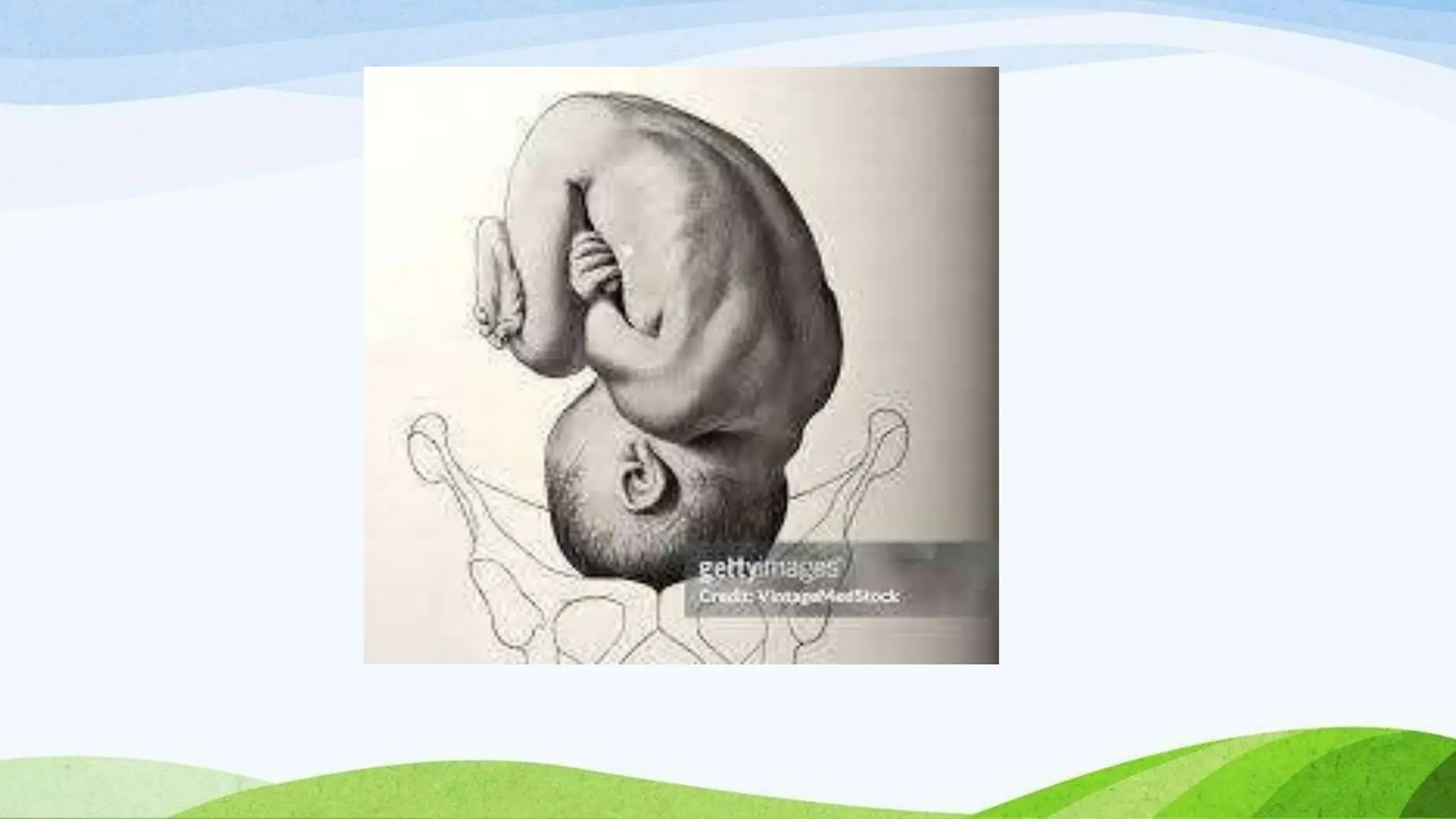 PHYSIOLOGY OF LABOUR.pptx bsc nursing obg | PPTX