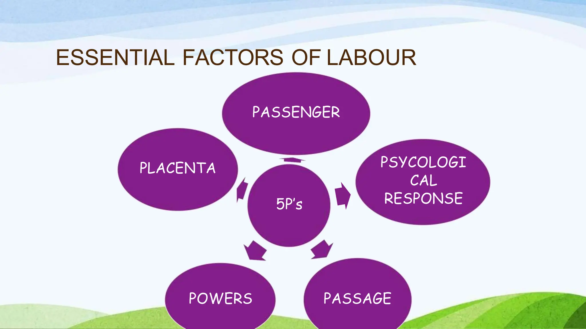 PHYSIOLOGY OF LABOUR.pptx bsc nursing obg | PPTX