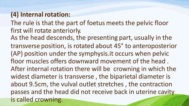 PHYSIOLOGY OF LABOUR.pptx bsc nursing obg | PPTX