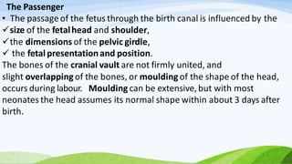PHYSIOLOGY OF LABOUR.pptx bsc nursing obg | PPTX