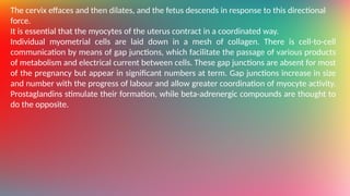 (Normal Mechanism)physiology of labour.pptx