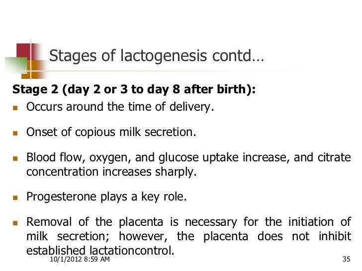 Physiology of lactation