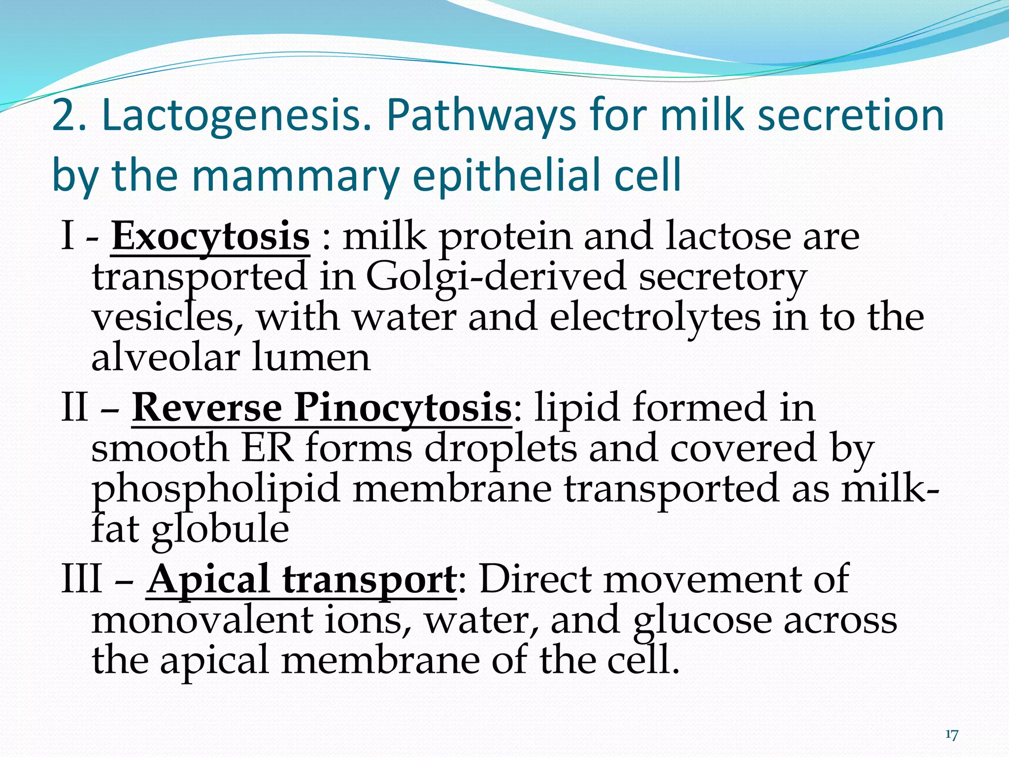 Physiology of lactation | PPTX