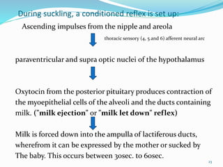 Physiology of lactation | PPTX