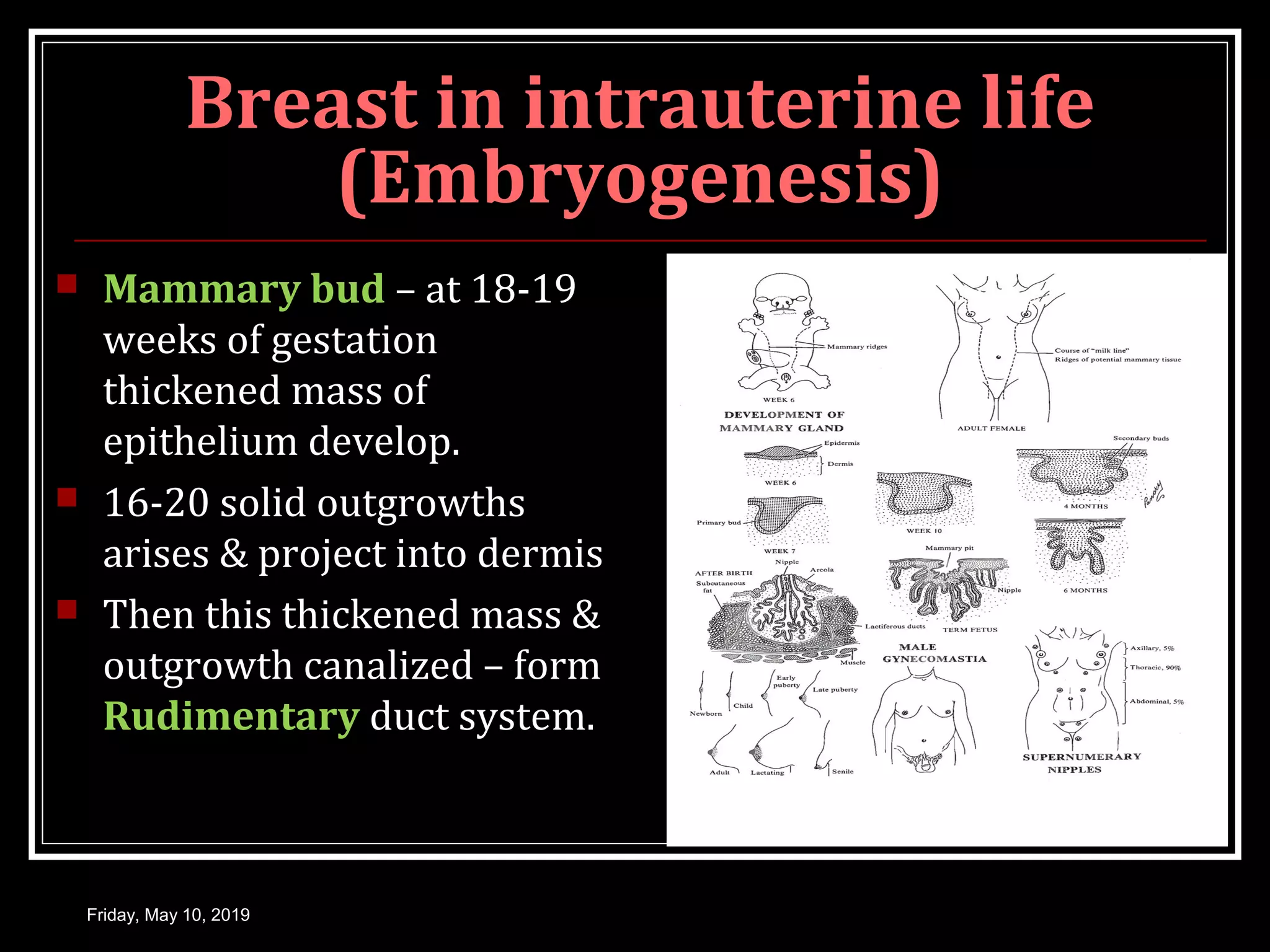 PHYSIOLOGY OF LACTATION | PPT
