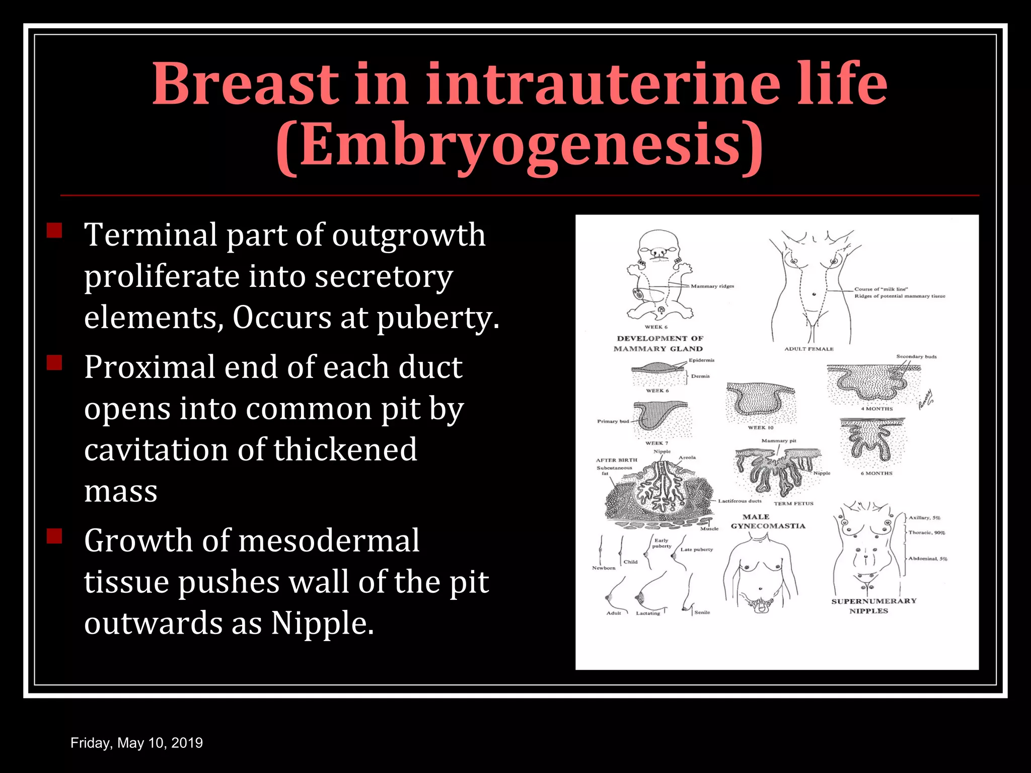 PHYSIOLOGY OF LACTATION | PPT