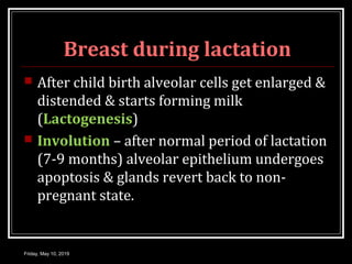 PHYSIOLOGY OF LACTATION | PPT
