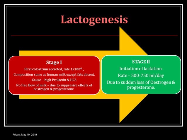 PHYSIOLOGY OF LACTATION | PPT