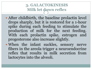 Physiology of lactation | PDF