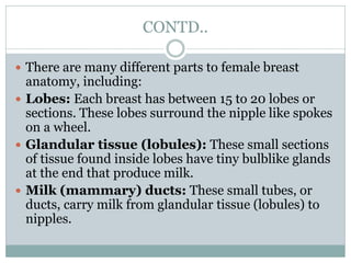 Physiology of lactation | PDF