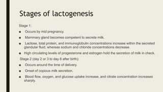 Physiology of Lactation in Obstetrics and gynecological nursing seminar ...