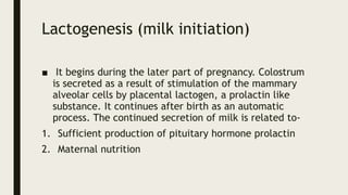 Physiology of Lactation in Obstetrics and gynecological nursing seminar ...
