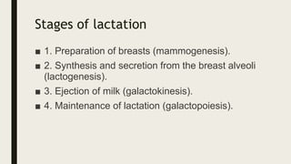 Physiology of Lactation in Obstetrics and gynecological nursing seminar ...