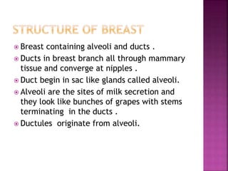 Physiology of Lactation.ppt for physiology nursu=ing | PPT