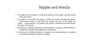 Basics of Physiology of Lactation and .pptx