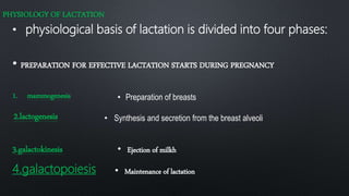 Physiology of lactation | PPTX