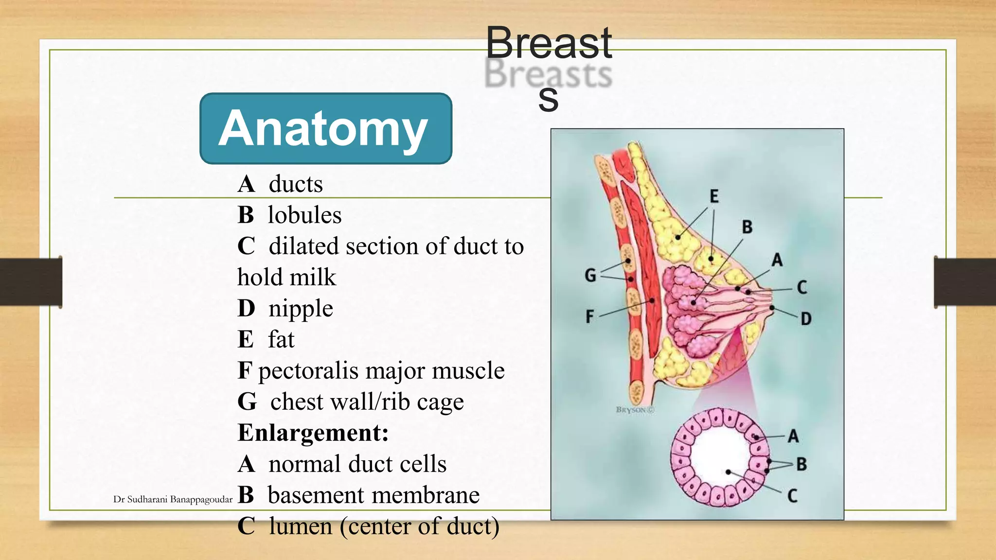 Physiology ofl actation breast milk and breastfeeding 200509084346 | PPTX