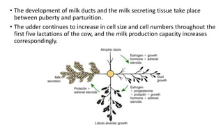 PHYSIOLOGY OF LACTION IN ANIMALS.pdf