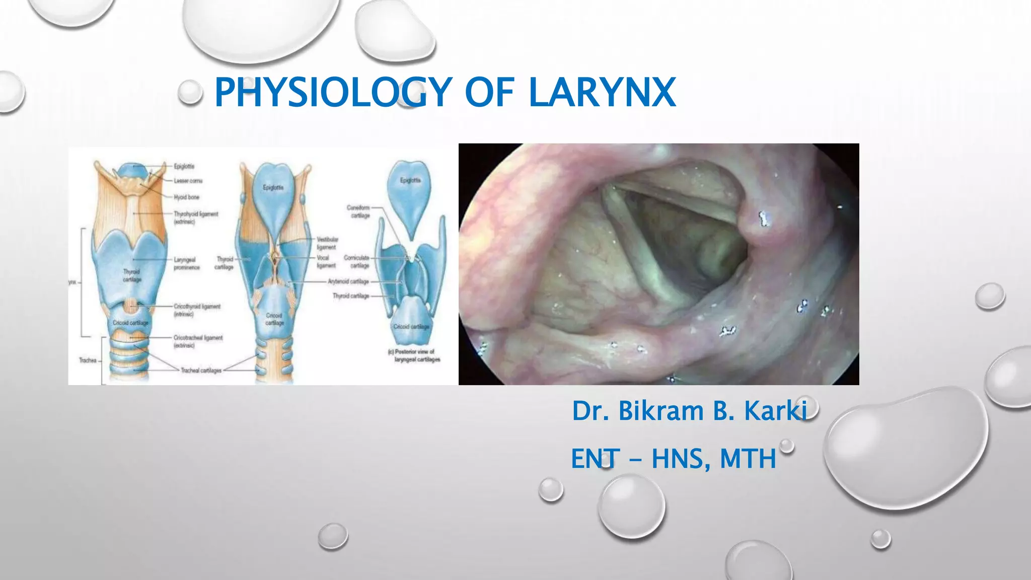 Physiology of larynx AND assessment of laryngeal function | PPTX