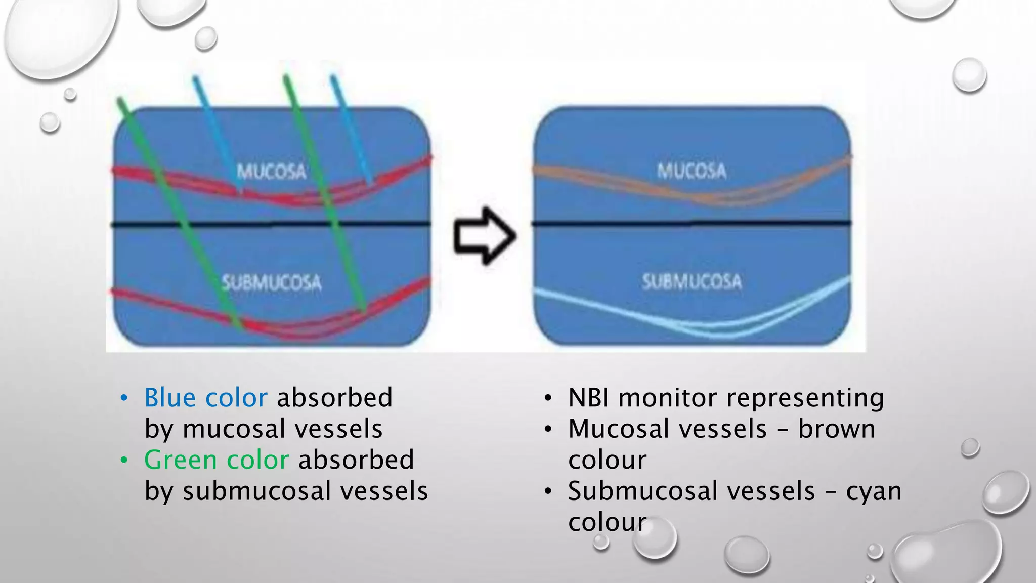 Physiology of larynx AND assessment of laryngeal function | PPTX