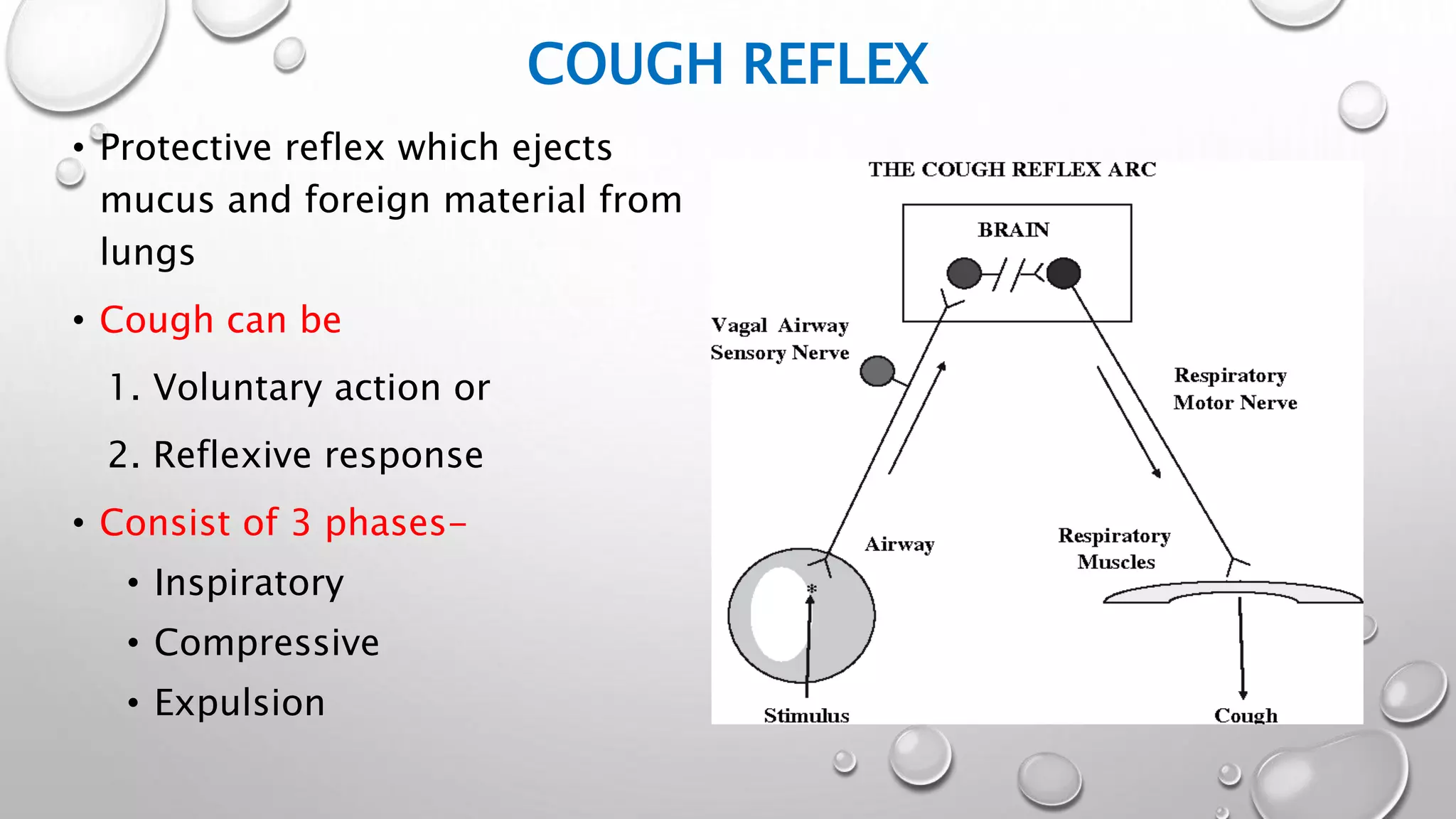 Physiology of larynx AND assessment of laryngeal function | PPTX