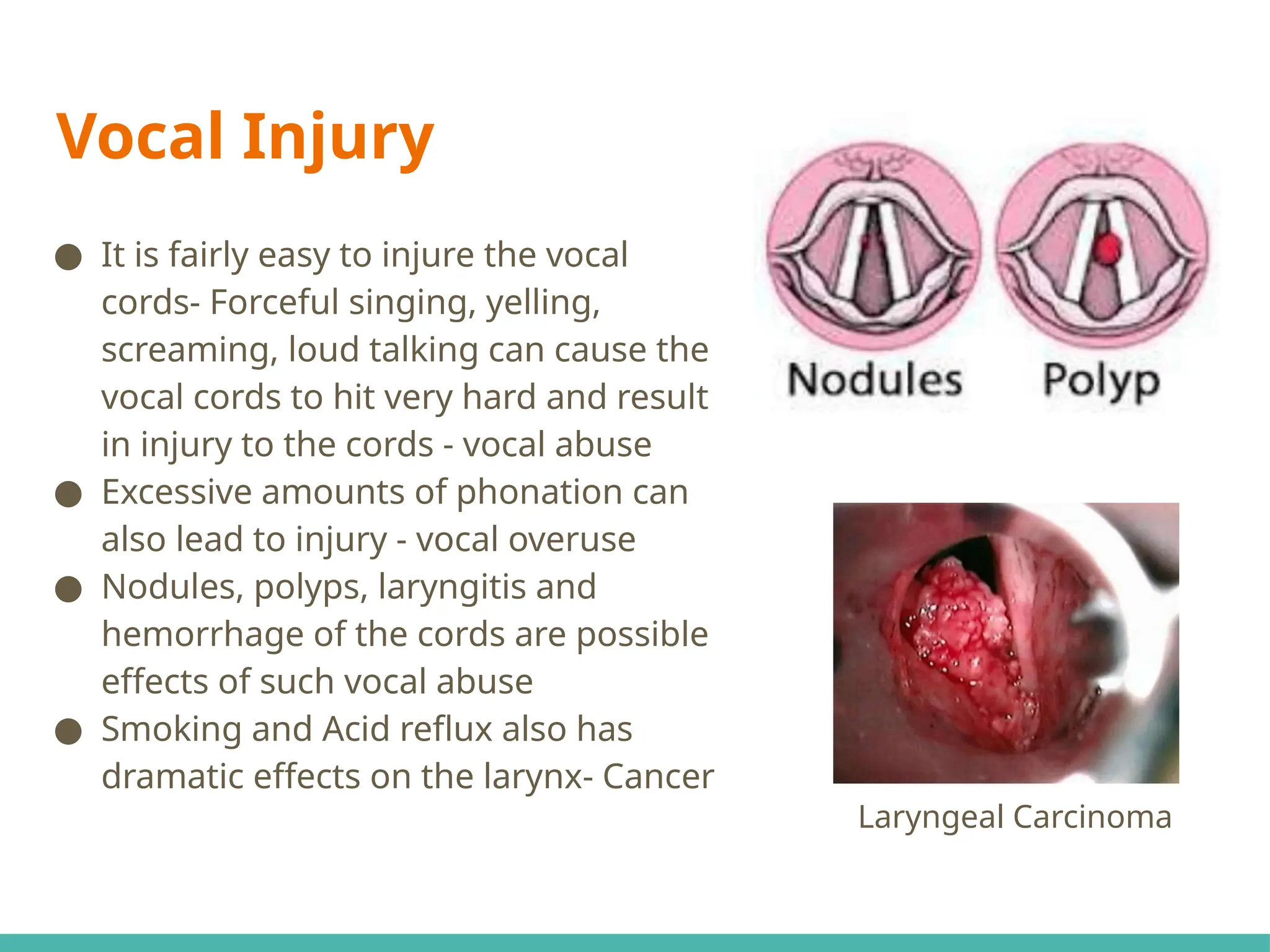 Physiology of Larynx: Phonation and Protection | PPTX